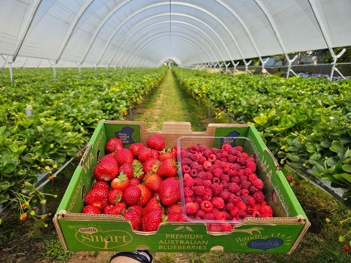 Adelaide Australia Farms