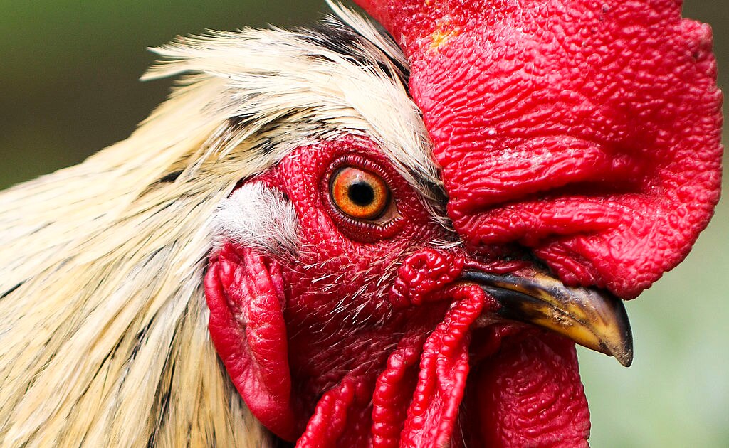 Tony Boyd reflects on 40 years of business journalism - ABC listen