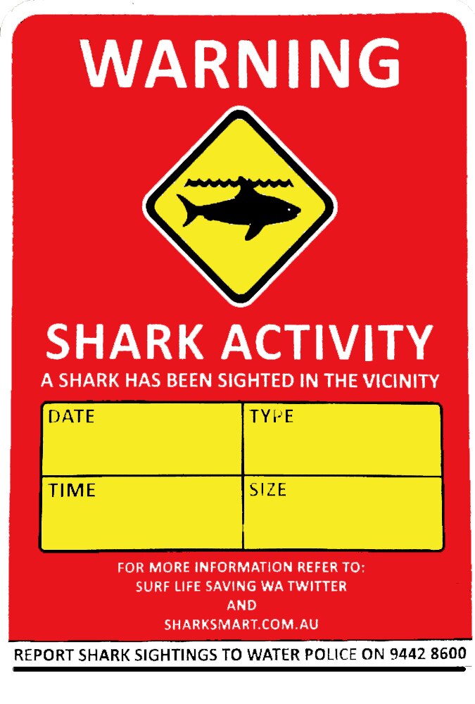 Five shark sightings in one day leads to calls for more signage - ABC News