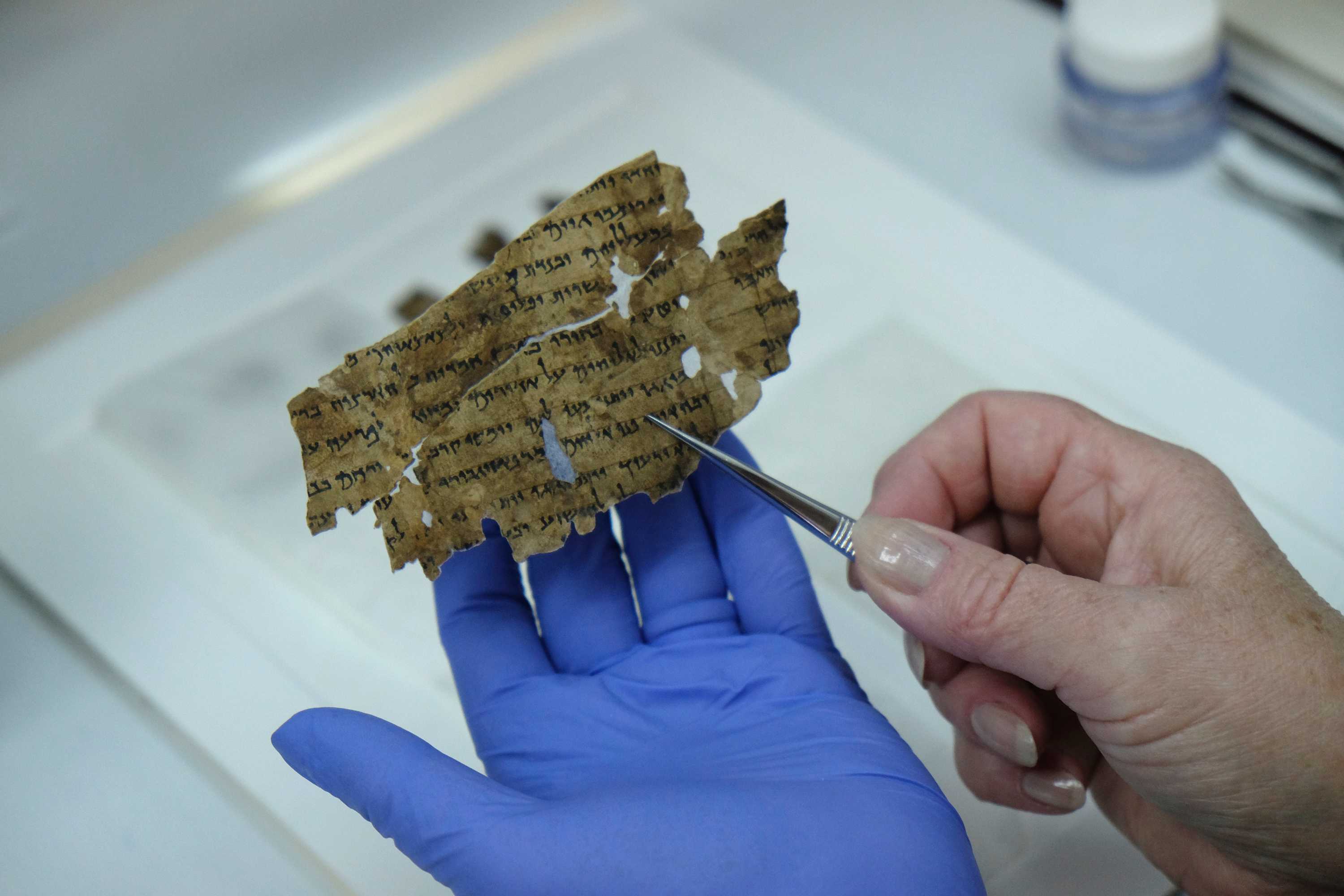 Digitising the Dead Sea Scrolls - ABC Radio National