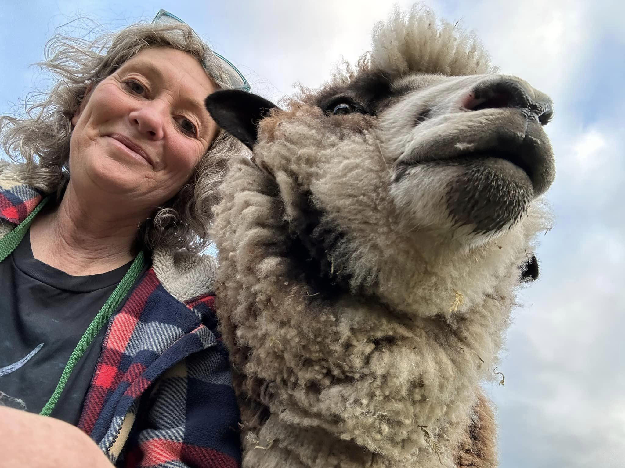 Heartbreak, anger on social media over horses once owned by former ...