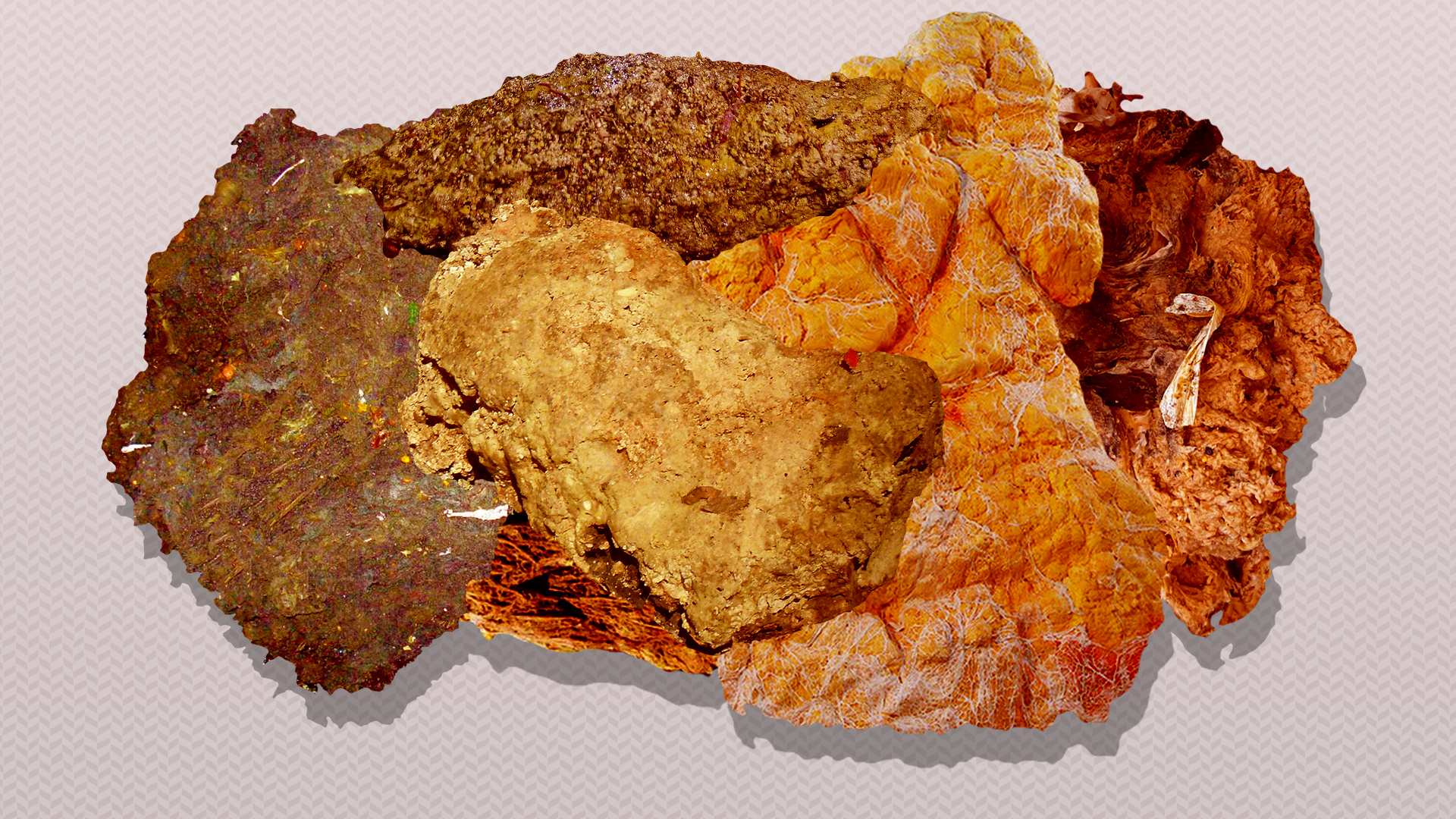 Preventing Fatbergs - Behind The News