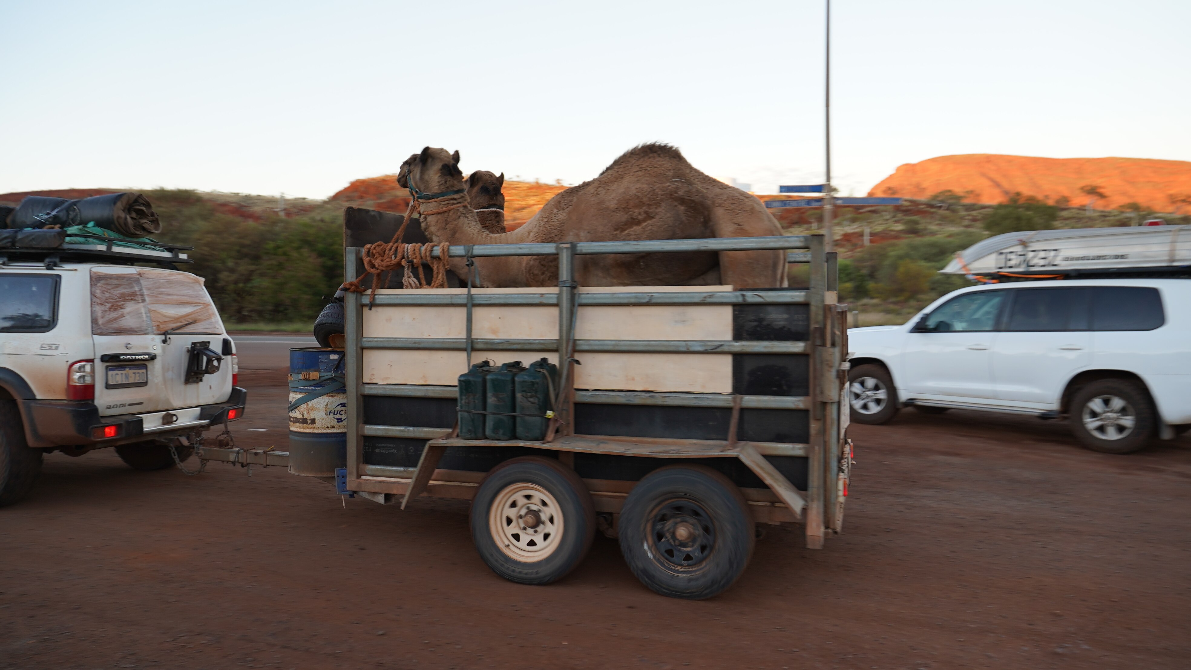 Ted Blakeley and his coffee van are Tom Price favourites - ABC News