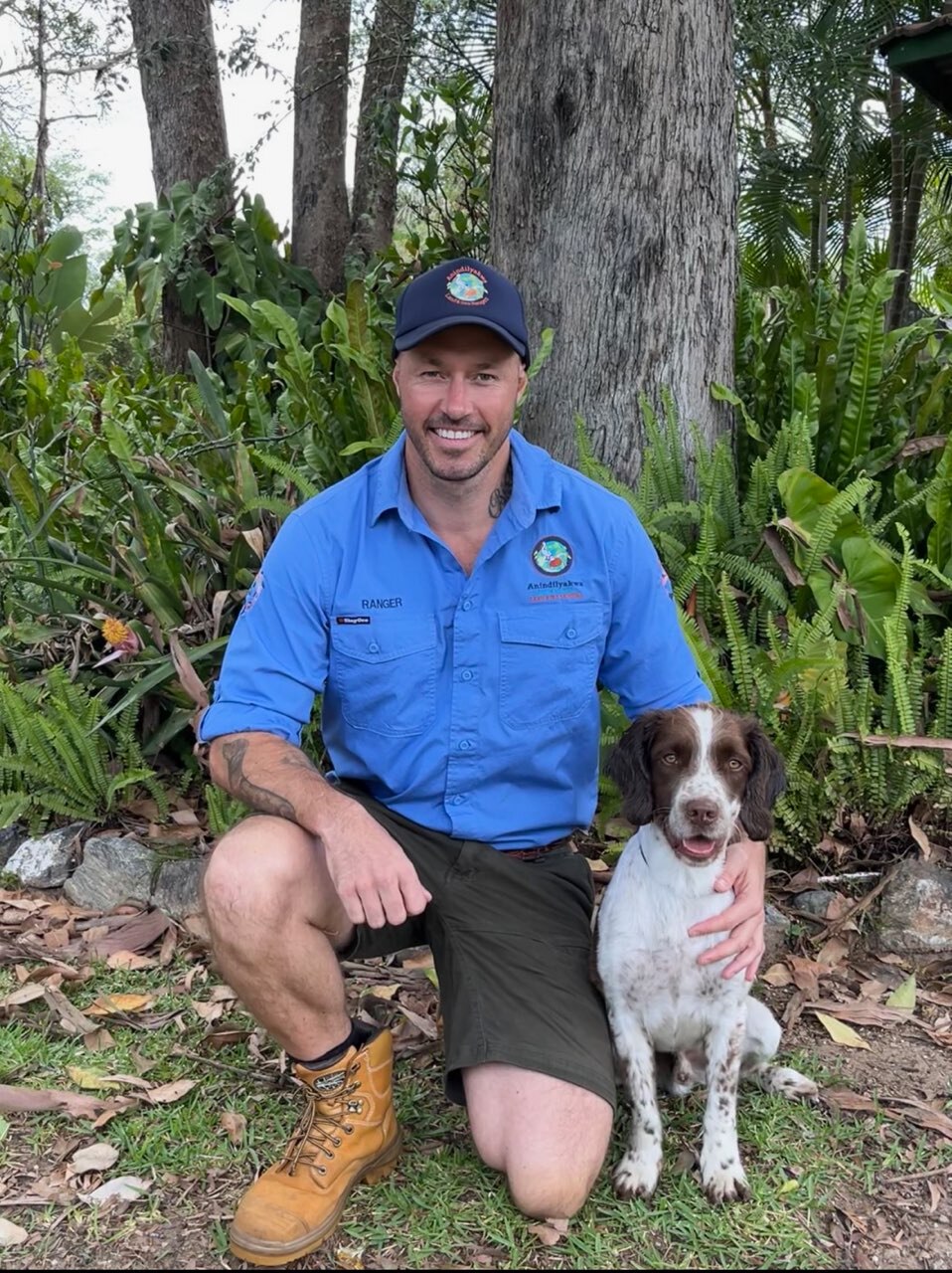 Meet Icon the pup, the new frontline defence against cane toads on ...