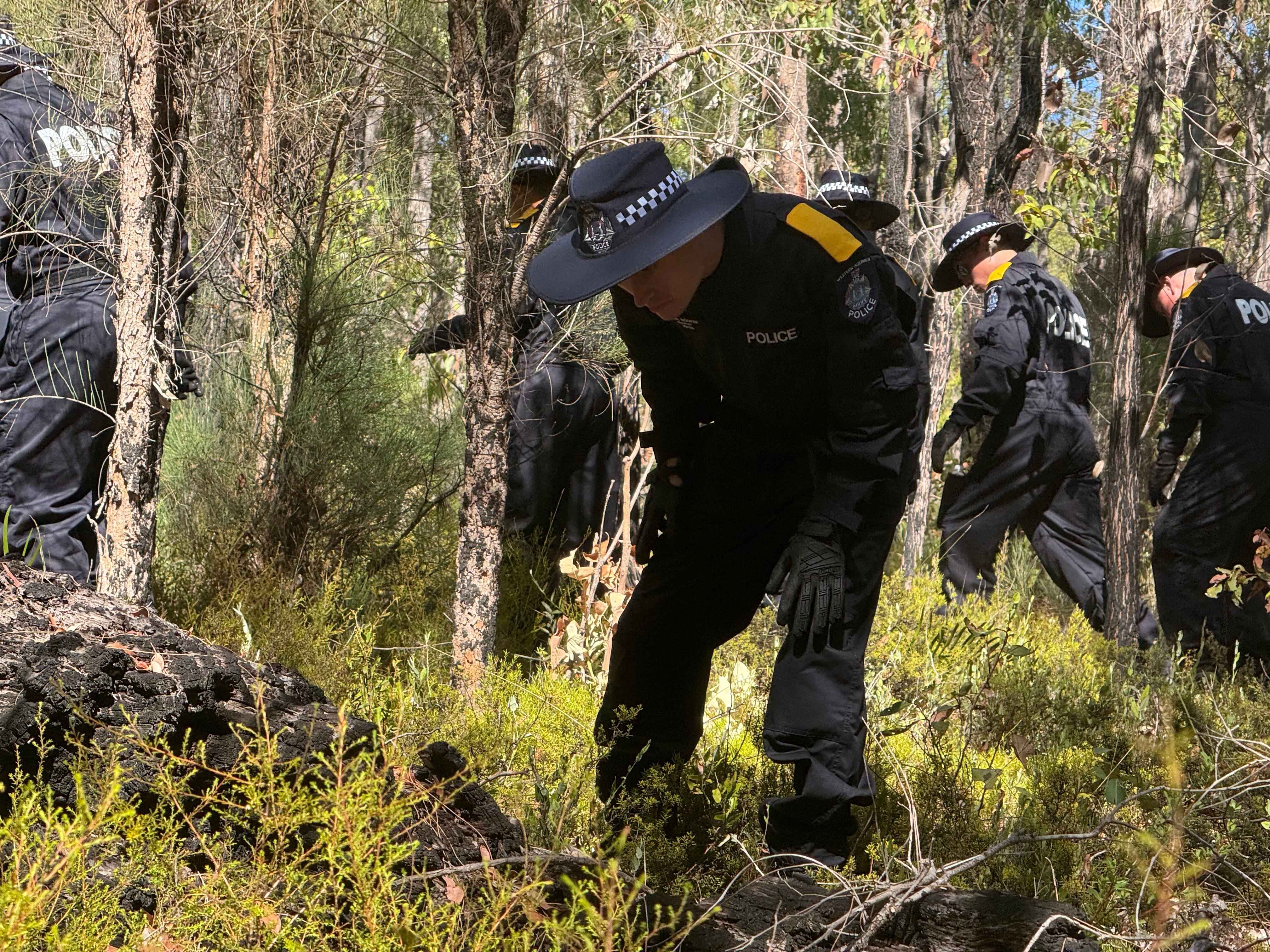 Lisa Mott cold case investigation leads police back to panel van found ...