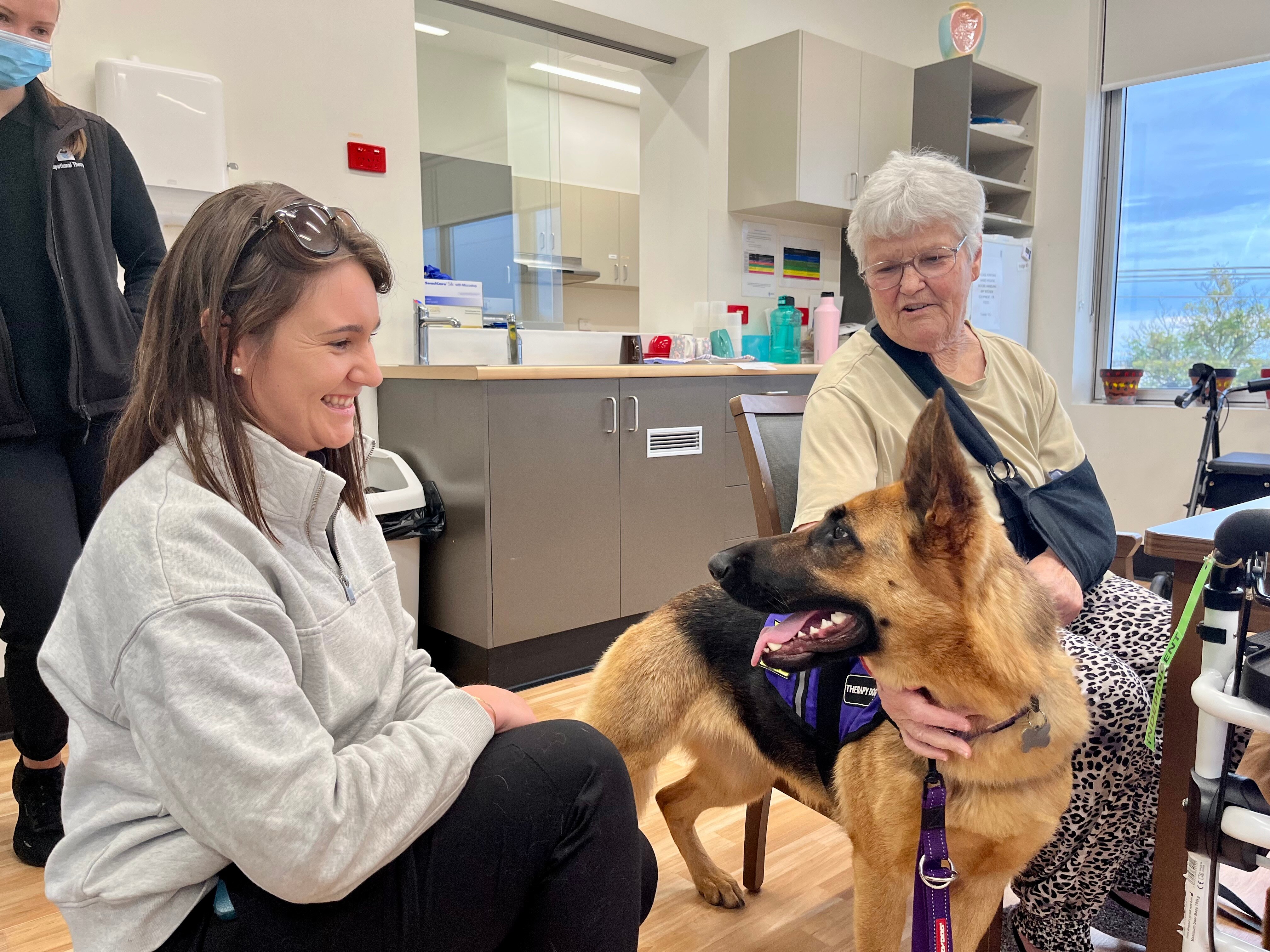 Therapy dogs join Swan Hill District Health to cheer up patients, staff ...