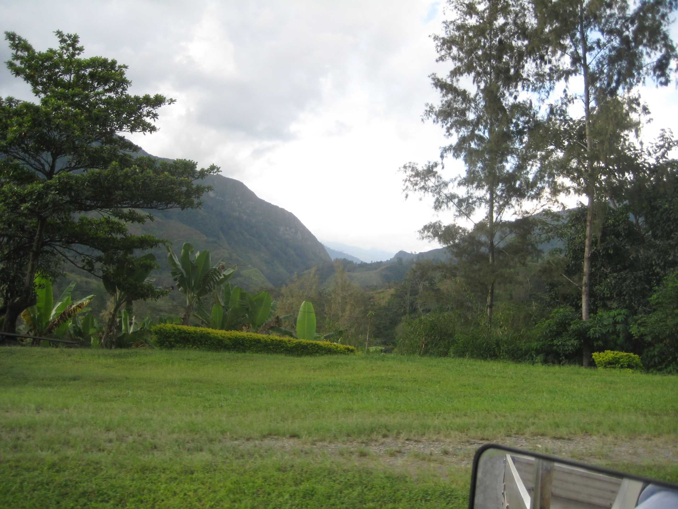 Australia help establish charcoal industry in PNG - ABC News