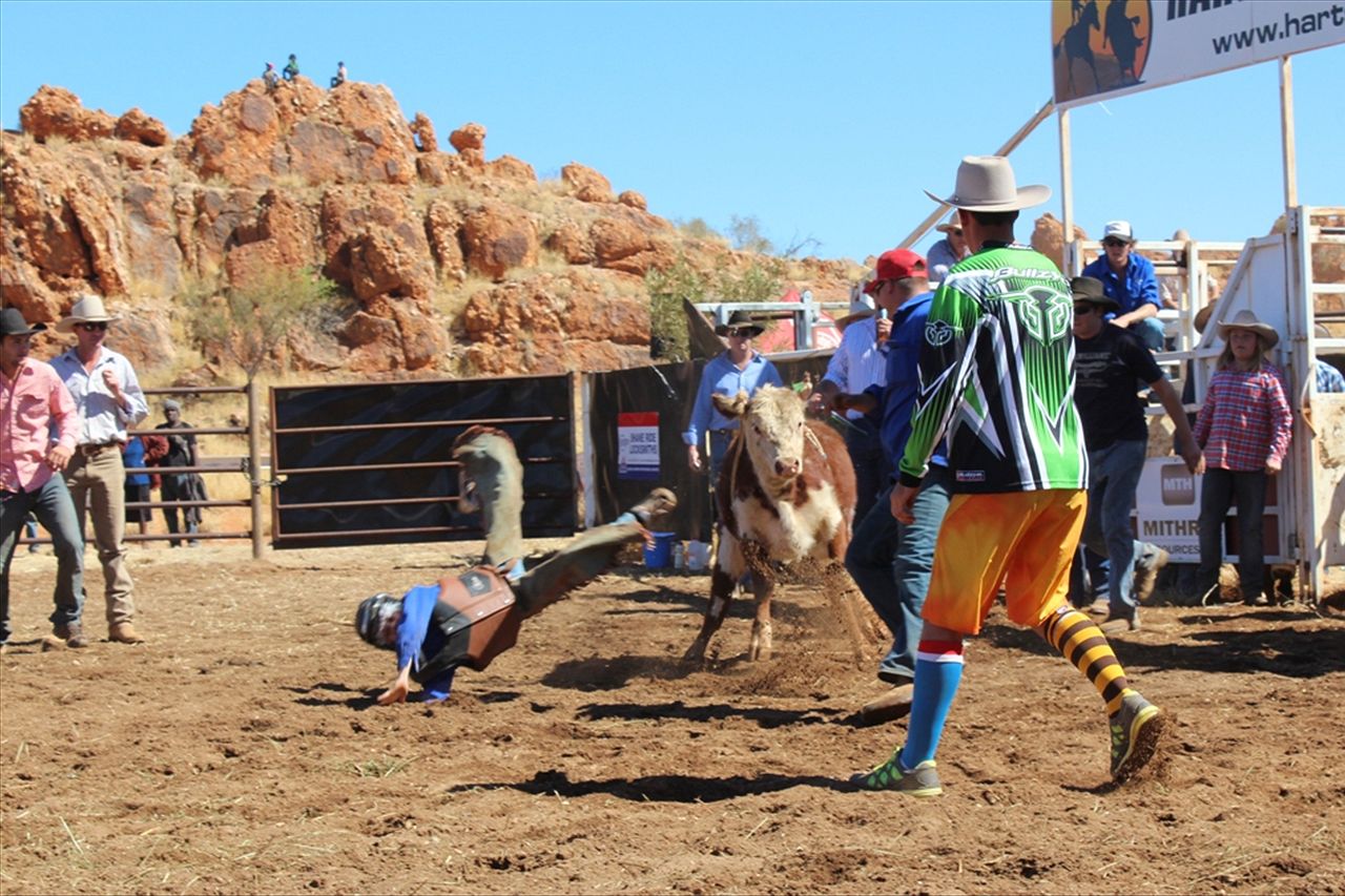 Battle for the buckle - ABC News