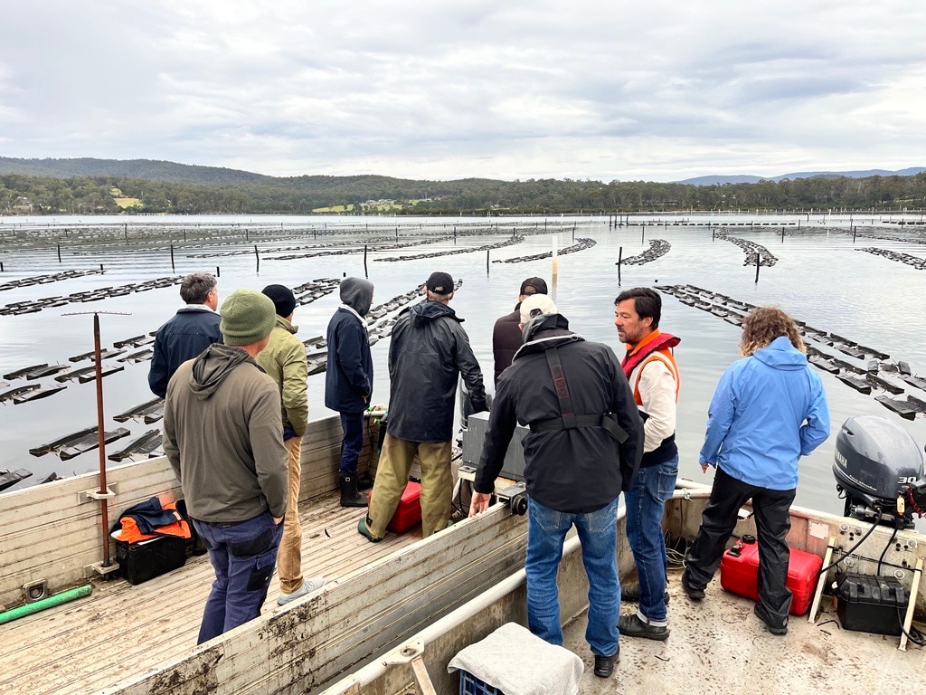 Oyster Resurgence - ABC listen