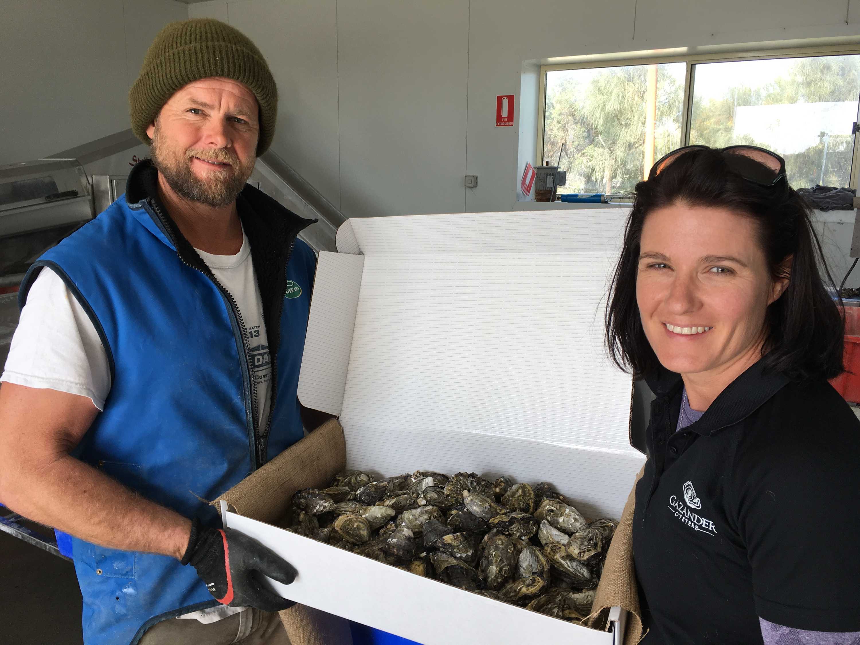 South Australian oyster growers bridge gap left by outbreak with new ...