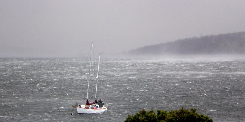 Wild weather wreaks havoc - ABC News