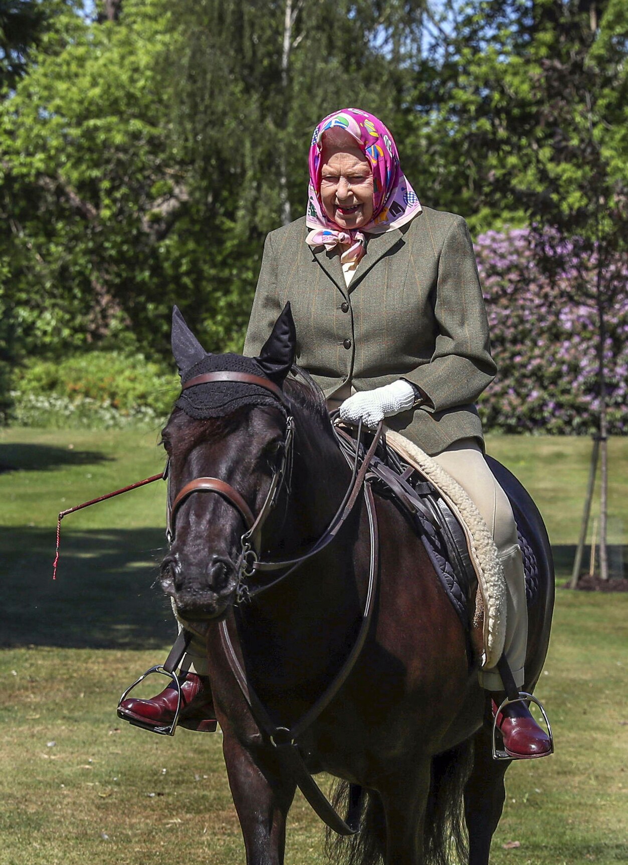 Queen Elizabeth photographed riding a horse at Windsor Castle - ABC News