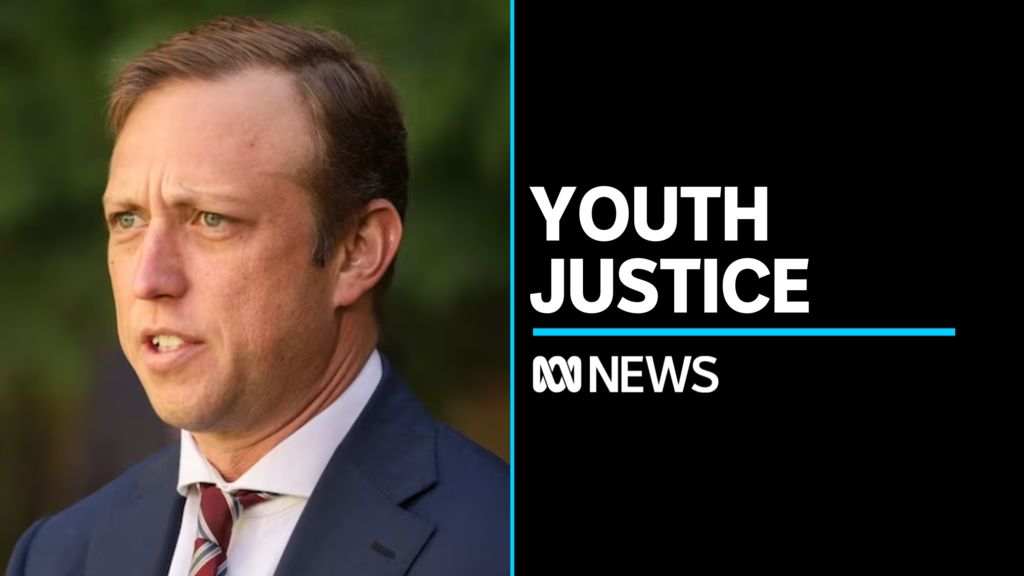 Steven Miles grilled on youth crime after Redbank stabbing - ABC News