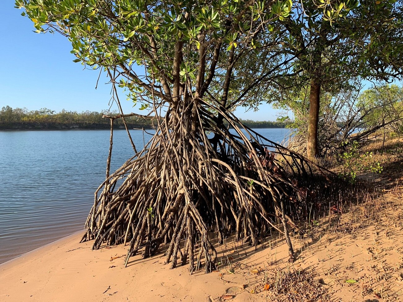 Traditional owners call for extra protection under proposed Limmen ...