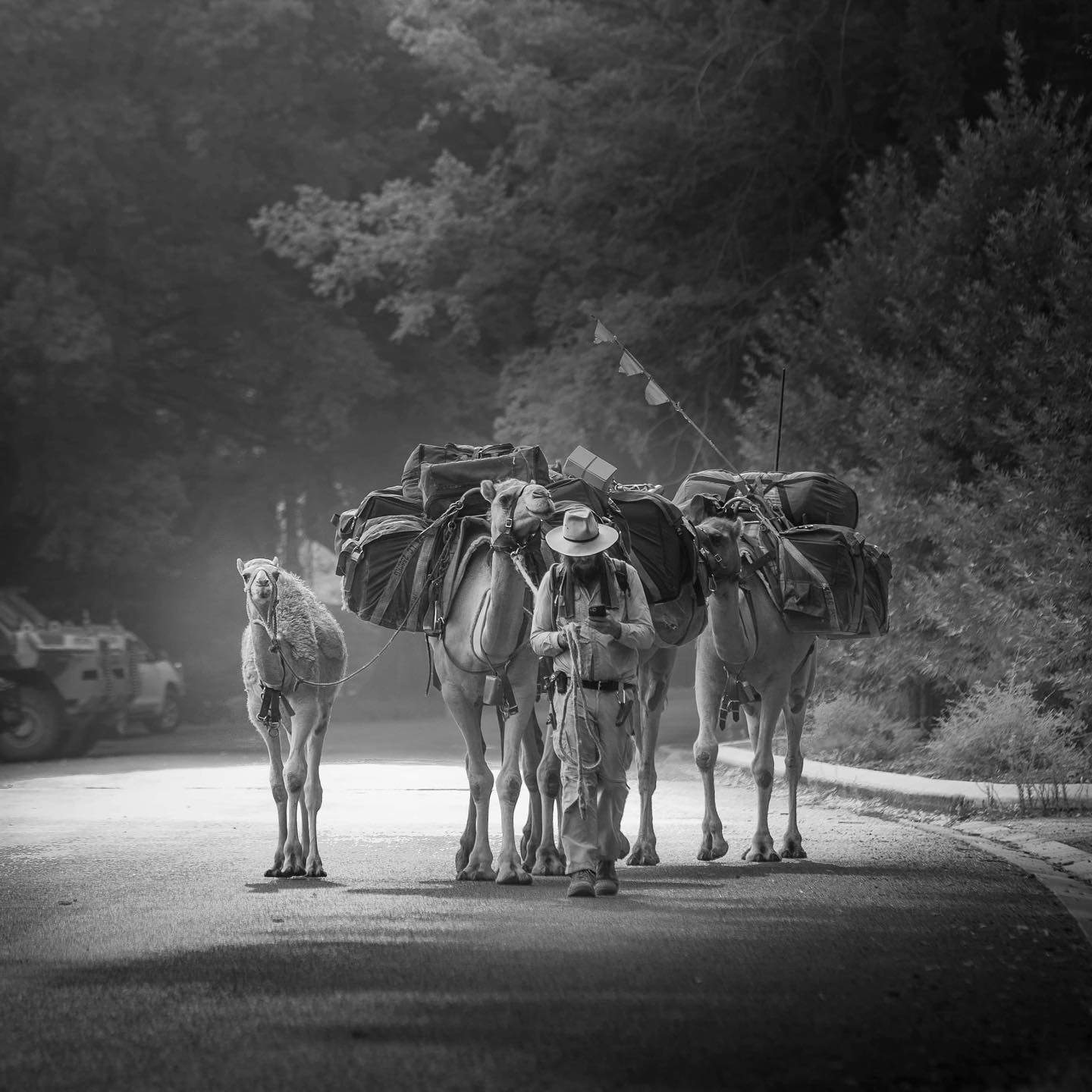 Walking Australia with four camels, a dog and a passion for meeting new ...