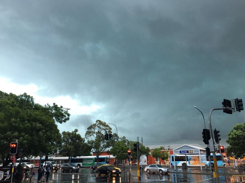 Sydney storm: Clean up after strong winds, heavy rain lash city - ABC News