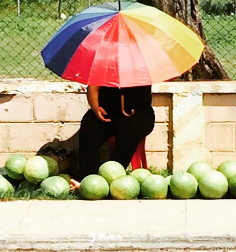 Watermelon Warning: Tonga’s Worrying Wet Weather Harvest - ABC Pacific