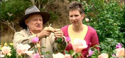 Rose Breeding - Gardening Australia