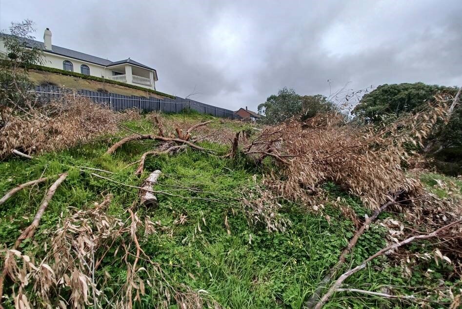 Sam Kerr's Dad was a Port premiership player and says she almost chose ...