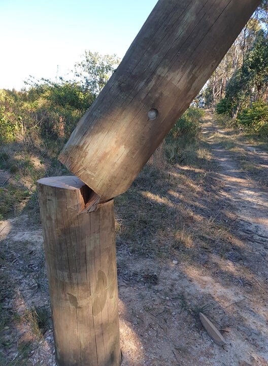 Sydney news: Ausgrid slams 'dangerous and irresponsible' vandals who ...