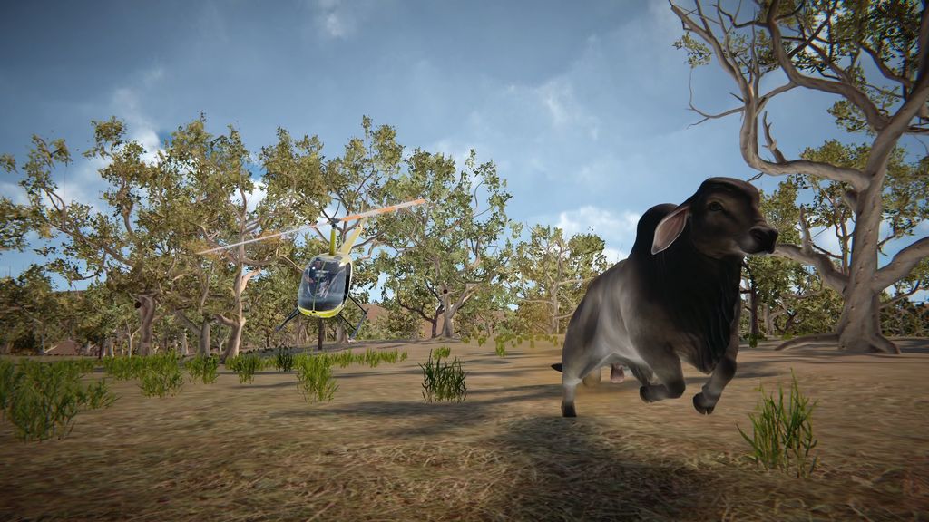 Pasture: The Livestock Simulator - ABC News