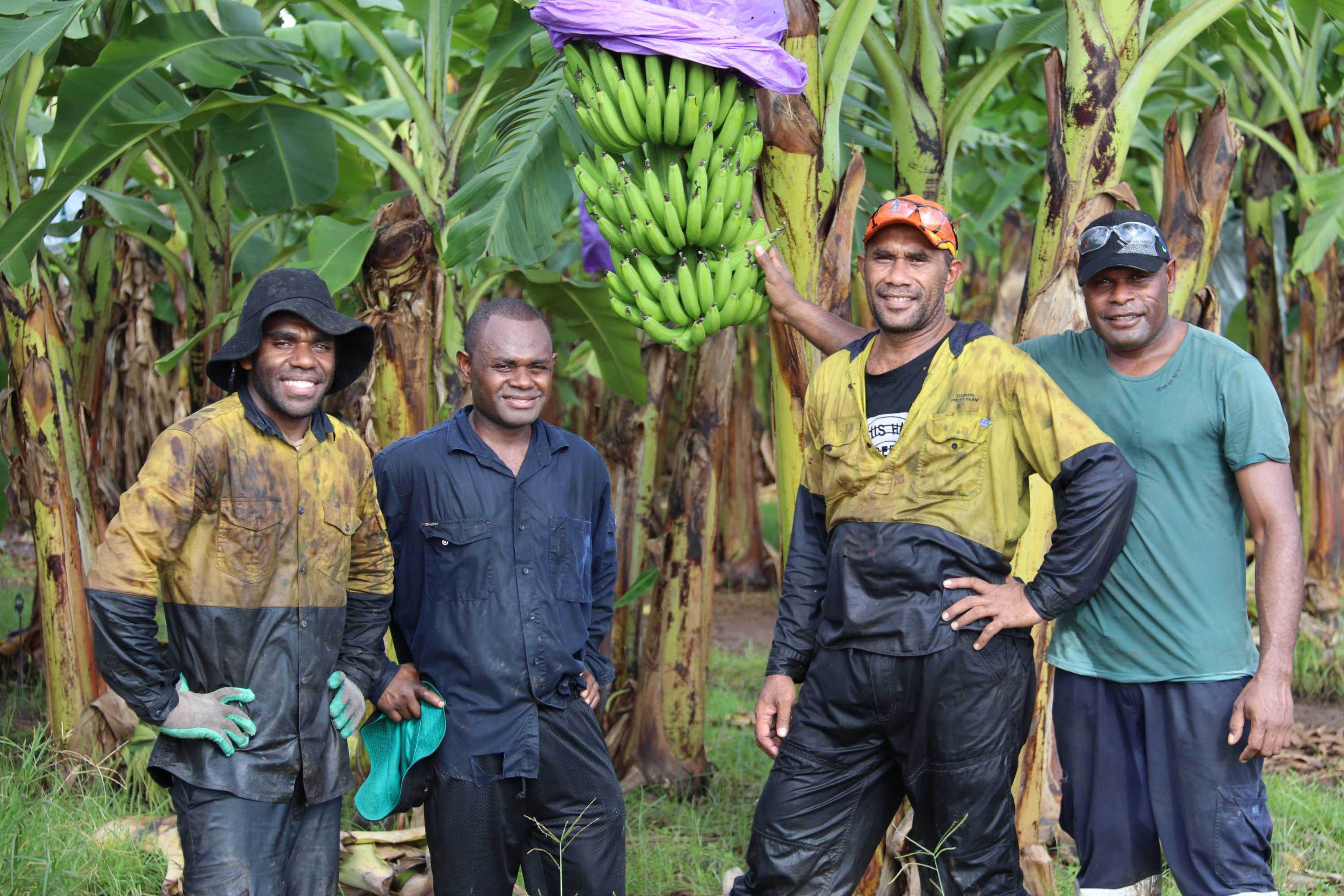 Northern Territory Country Hour - ABC listen