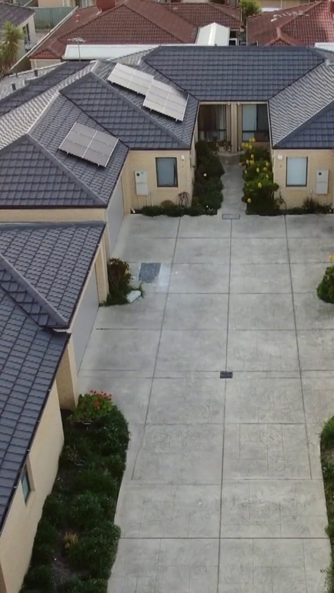 A 'nightmare' living in her strata apartment - ABC News