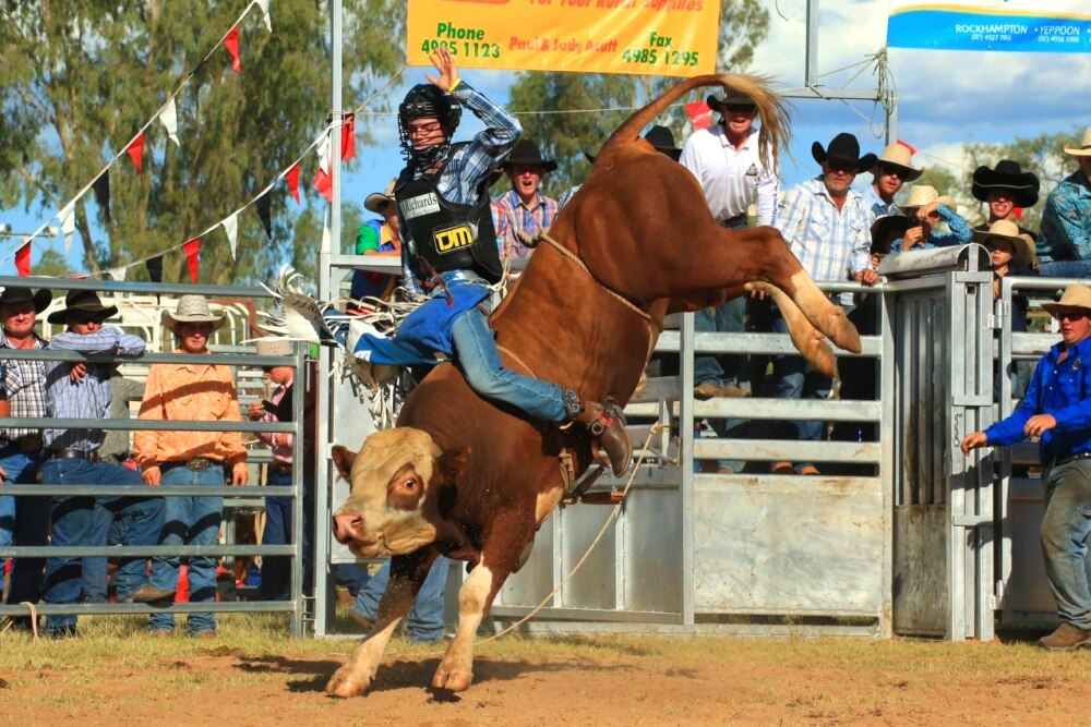 Junior bull rider Ky Hamilton dreams of turning pro in America - ABC News