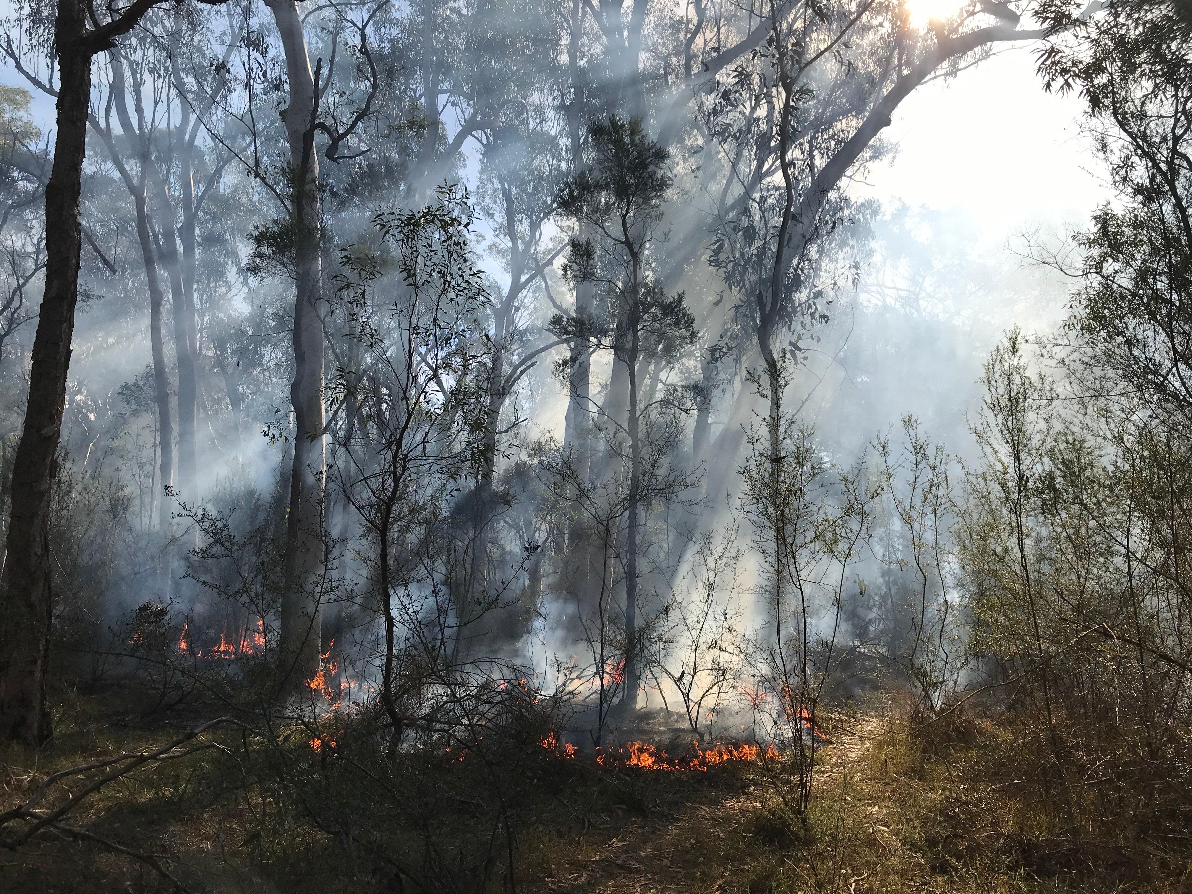More cultural burns needed ahead of bushfire season, Indigenous ...