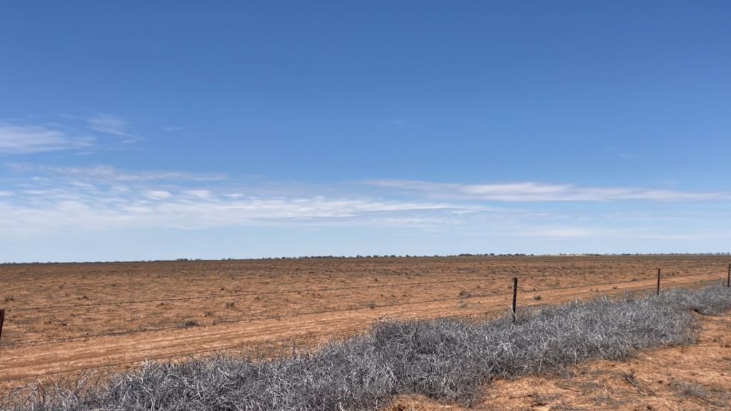 From drought ridden to flourishing these properties are only 50 ...