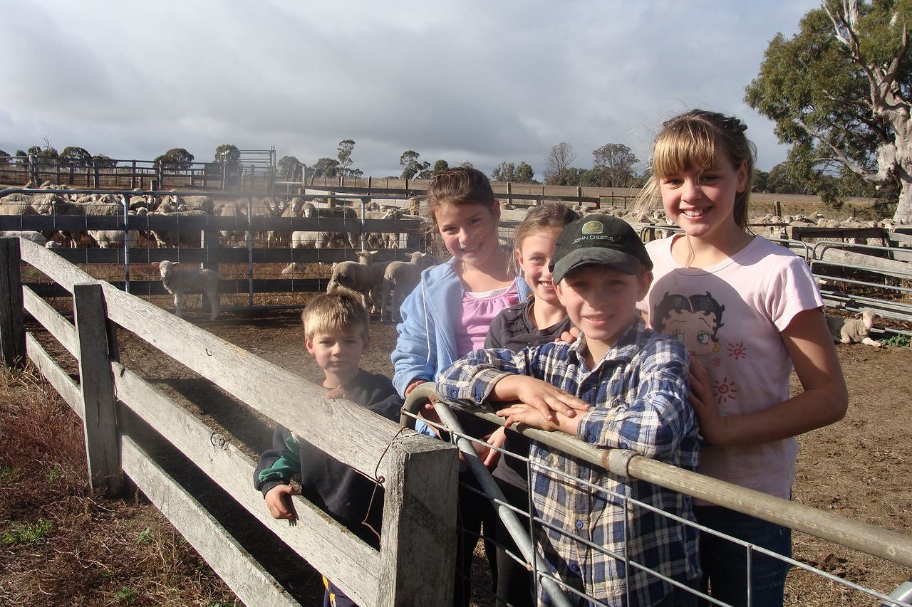 Flood of fencing work - ABC News