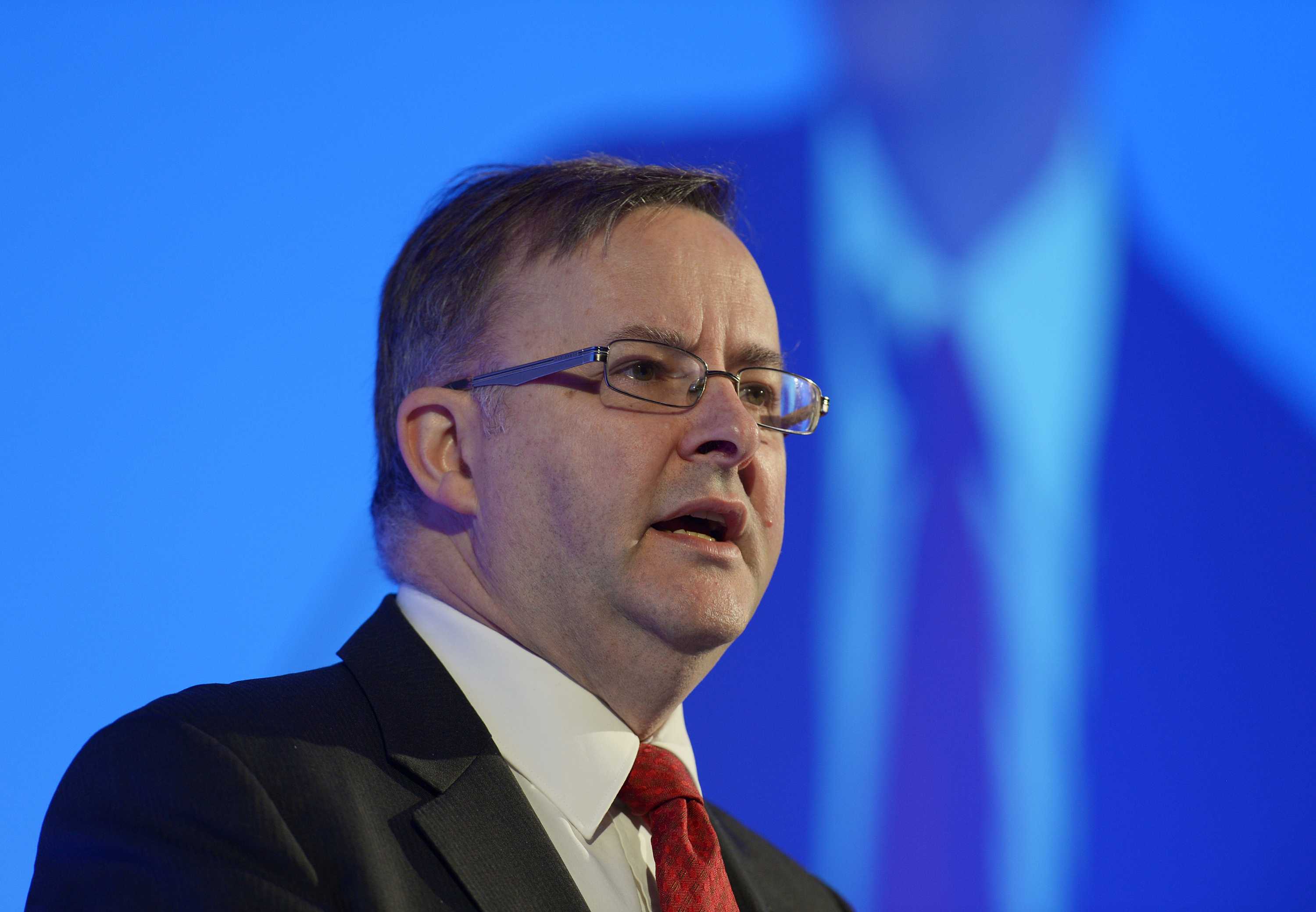 Albanese: Labor must develop the next big ideas - ABC listen
