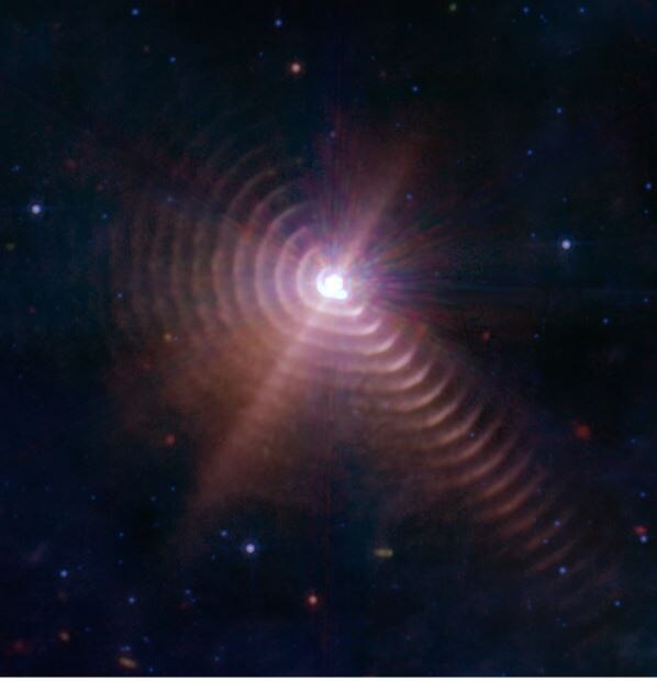 Research Filter: Scientists teach brain cells in a dish to play 'Pong ...