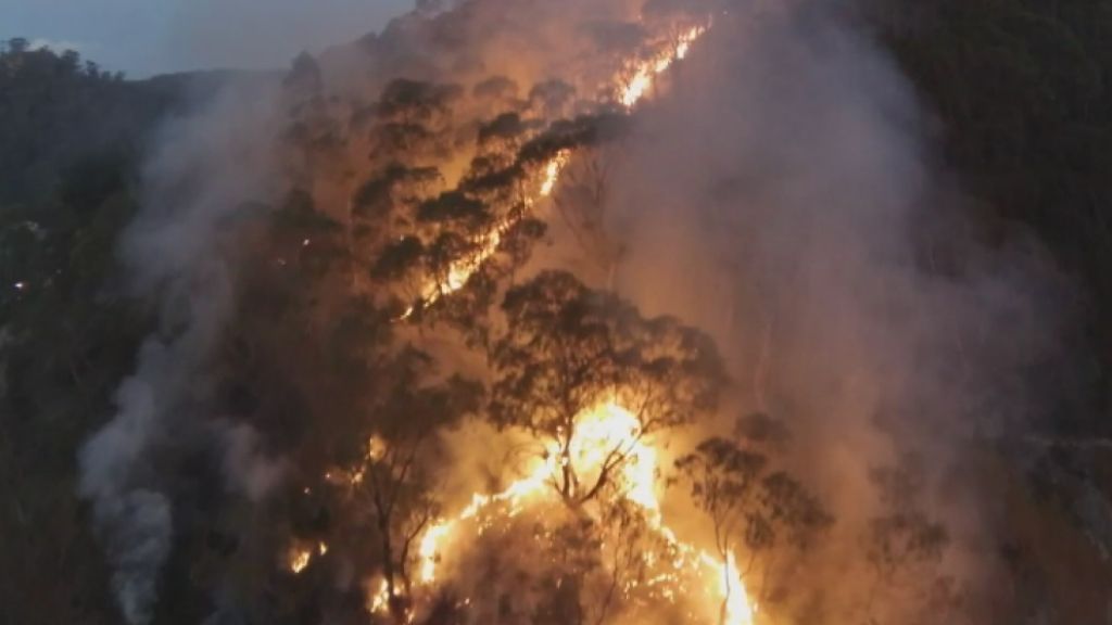 Defence Force paying millions in compensation for bushfires near ...