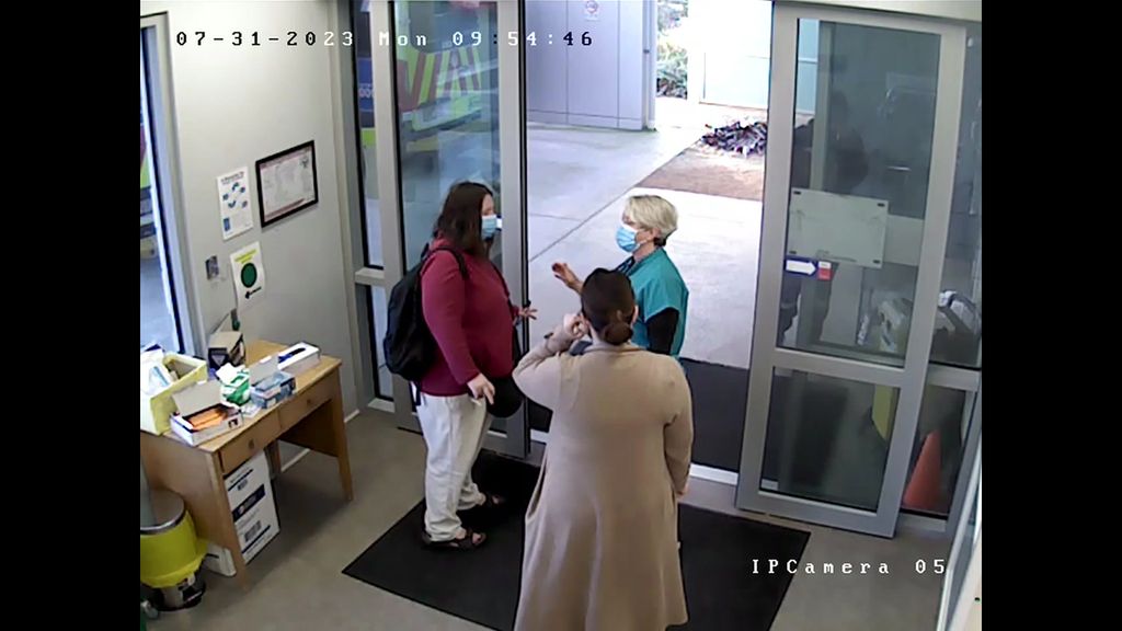 Erin Patterson's responses to five prosecution accusations in mushroom ...