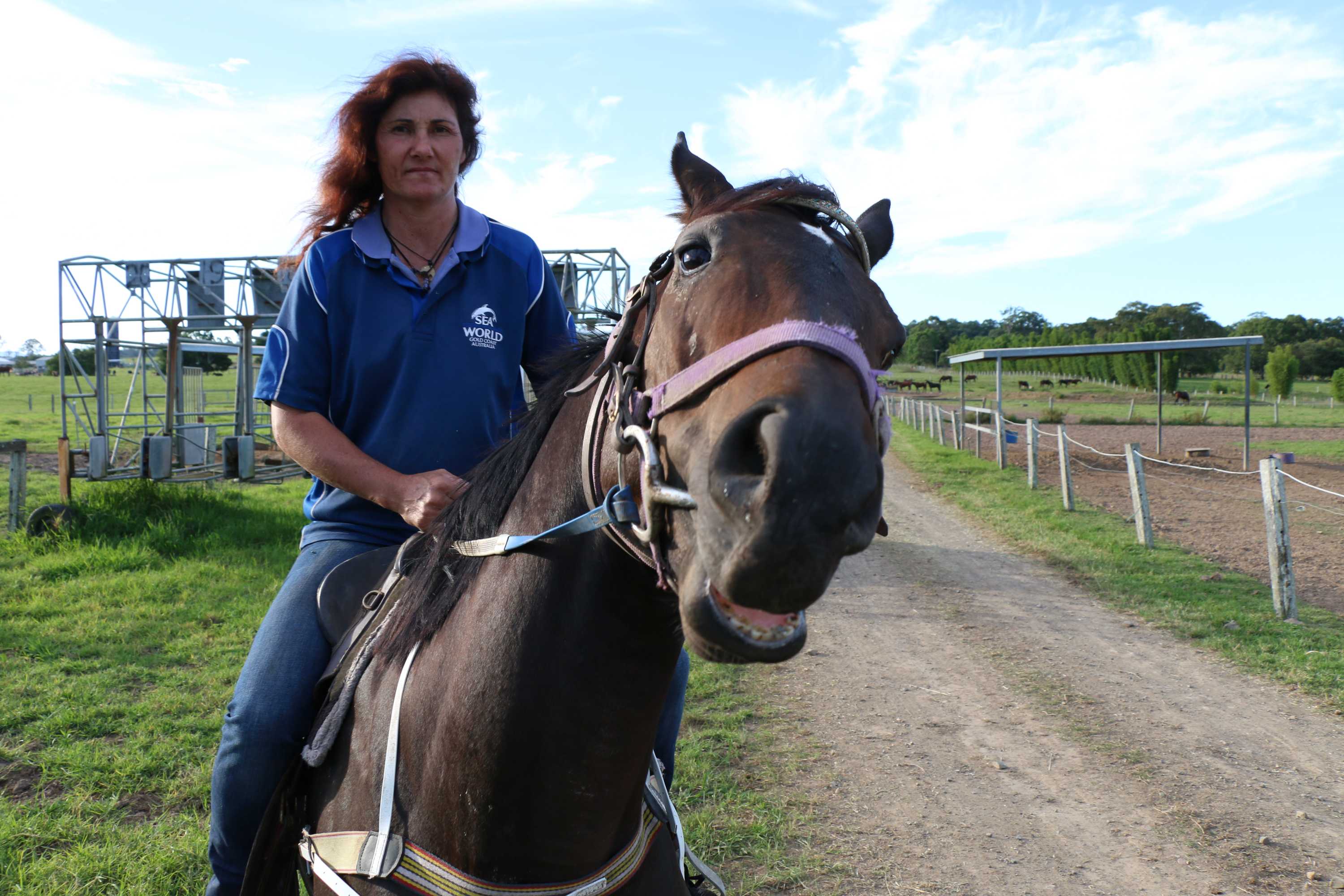 Horse trainer Pam Webber accuses Racing NSW of rejecting her licence ...