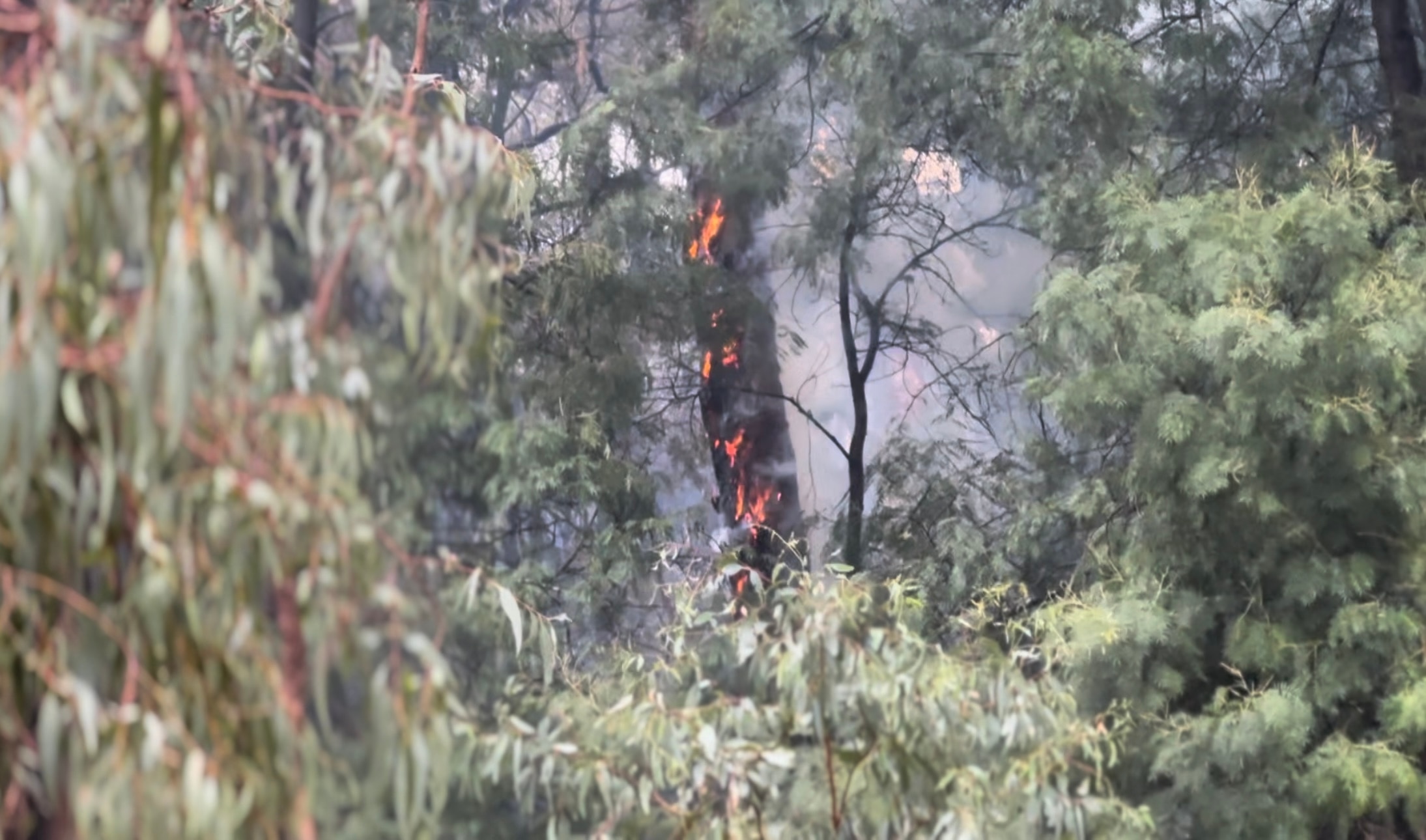 Montrose and Kilsyth bushfire brought under control as rain brings ...