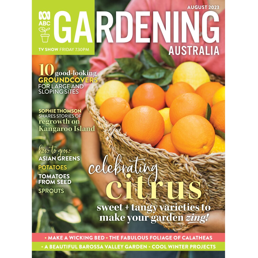 Magazines - ABC Shop