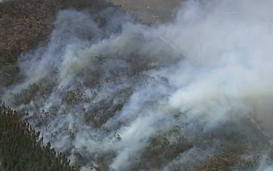 Grass fires fanned by gale-force winds lashing SA and Greater Adelaide ...