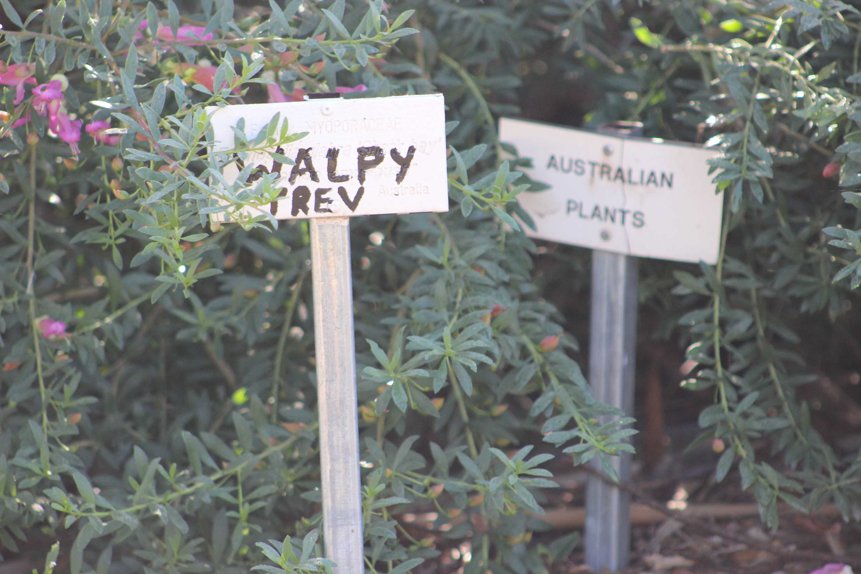 Walpeup Dryland Memorial Garden - ABC Radio National