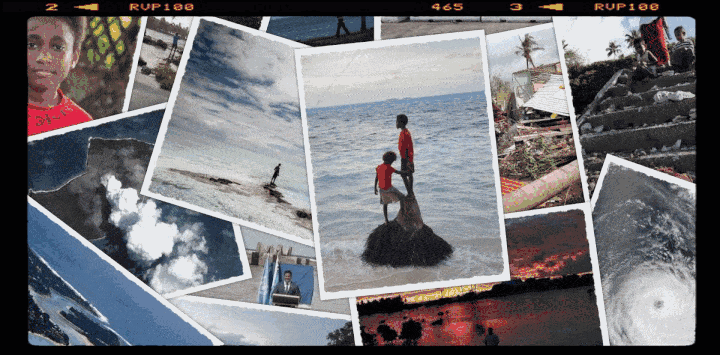 Emu poo could bring the quandongs back - ABC News