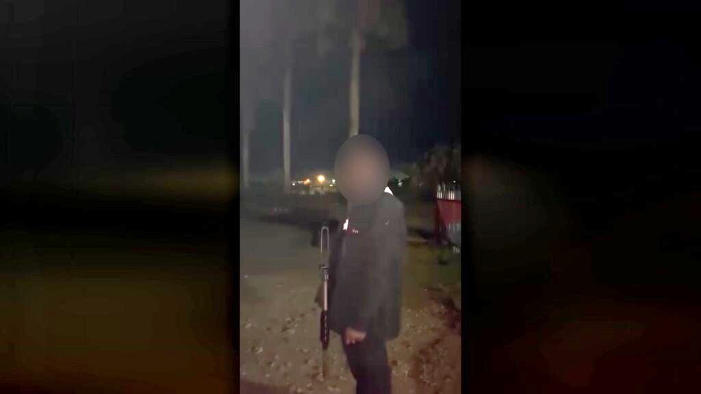 Explaining the most viral Kamala Harris memes, from coconut trees to ...