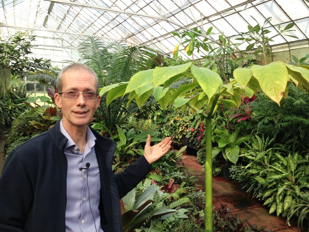 Royal Botanic Gardens Melbourne - ABC Radio National