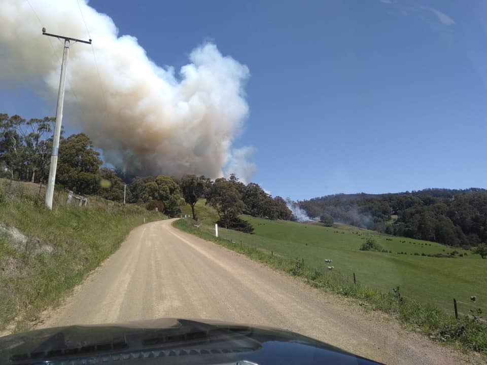 Tasmania news: Miena bushfire at Watch and Act, little penguins return ...