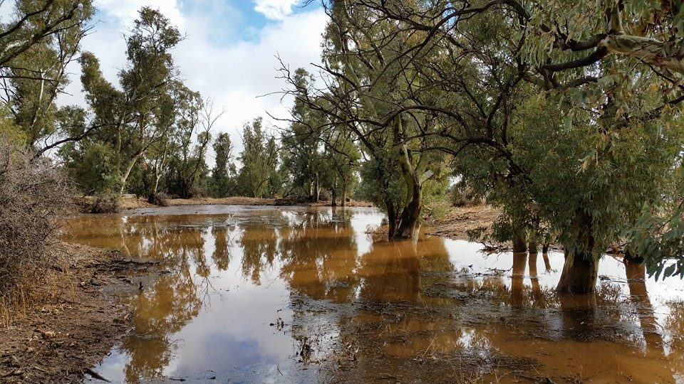 Smiles across the state as more than 100 millimetres fall in parts of ...