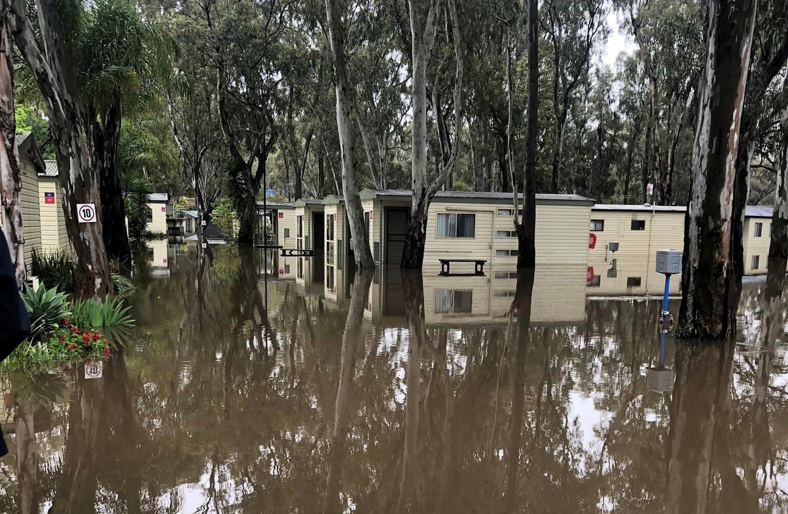 Moama faces 'catastrophic damage' and huge clean-up bill after Murray ...