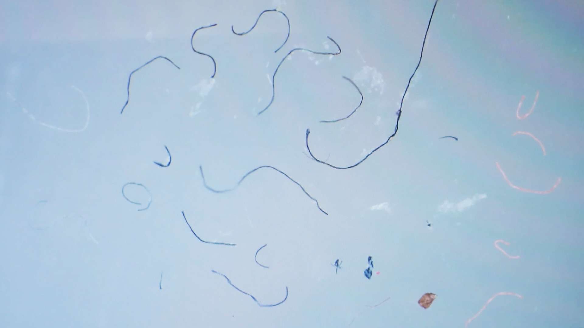 War On Waste: Microplastics - ABC Education