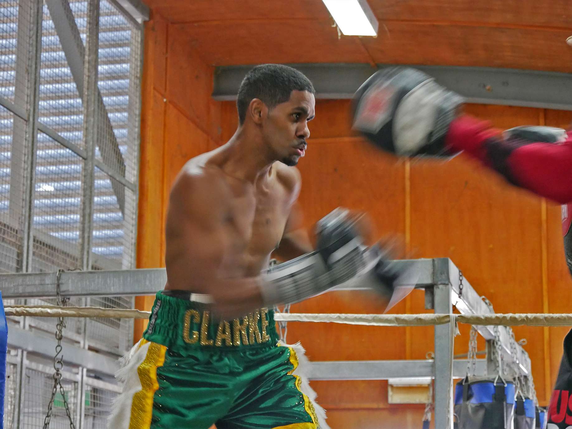Palm Islander's professional boxing debut inspires youth, unites ...