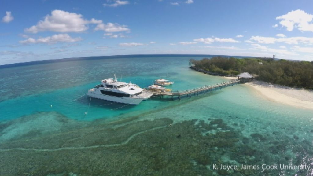 Seafloor habitat mapping on Heron Reef Source: Dr Karen Joyce - ABC News