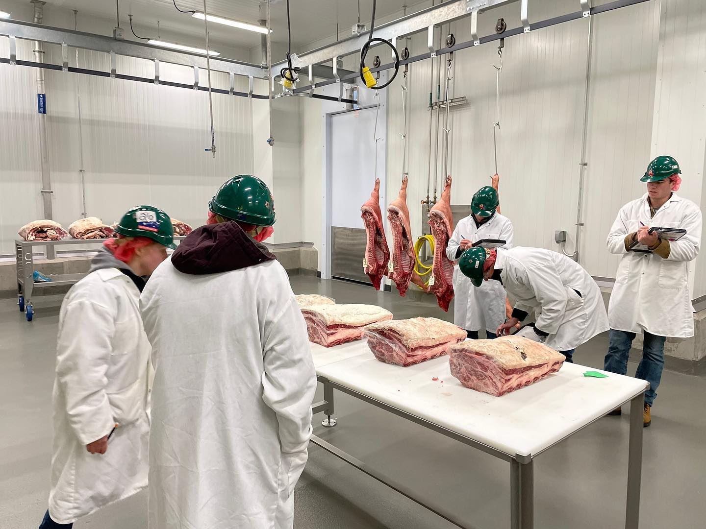 University students from across Australia test meat judging skills at ...